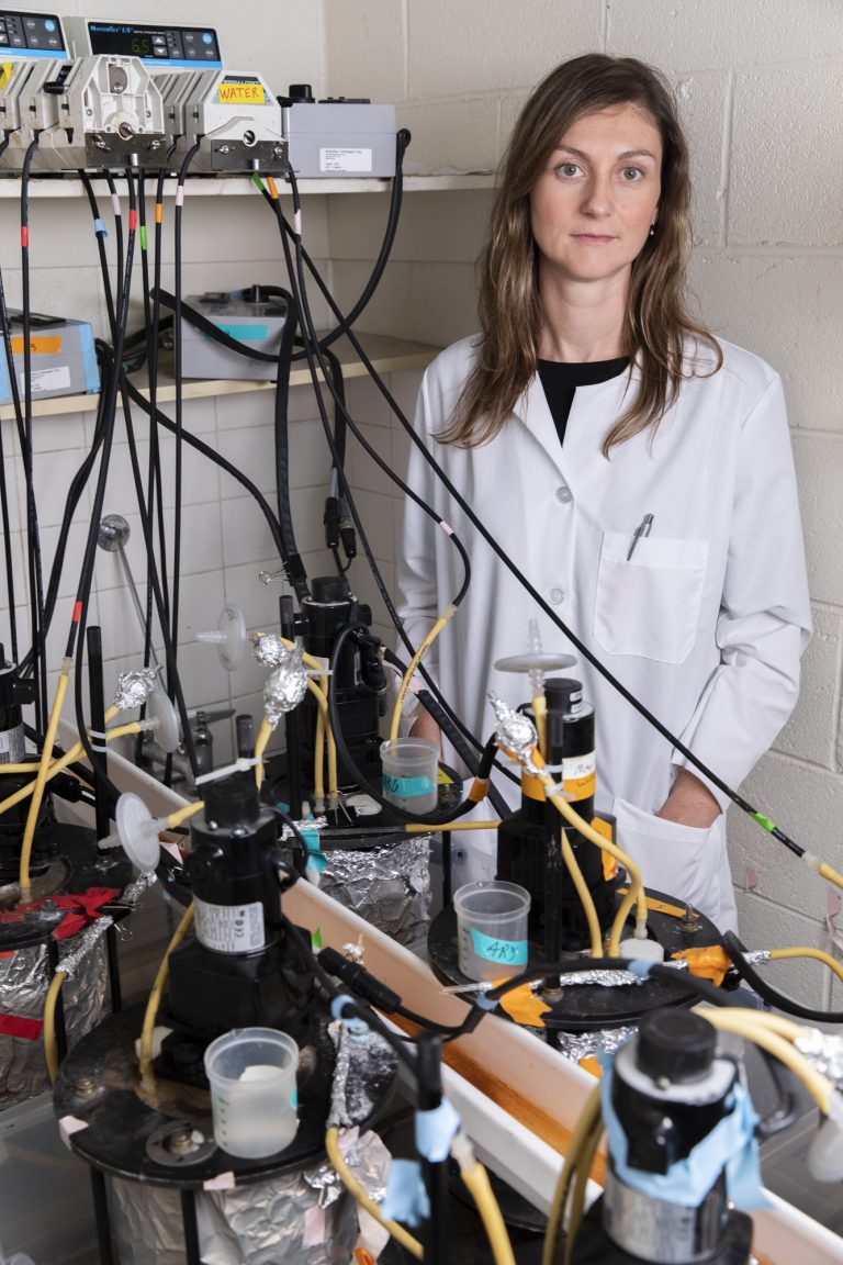 Microbial Communities in Drinking Water Distribution Systems | WHAM Lab