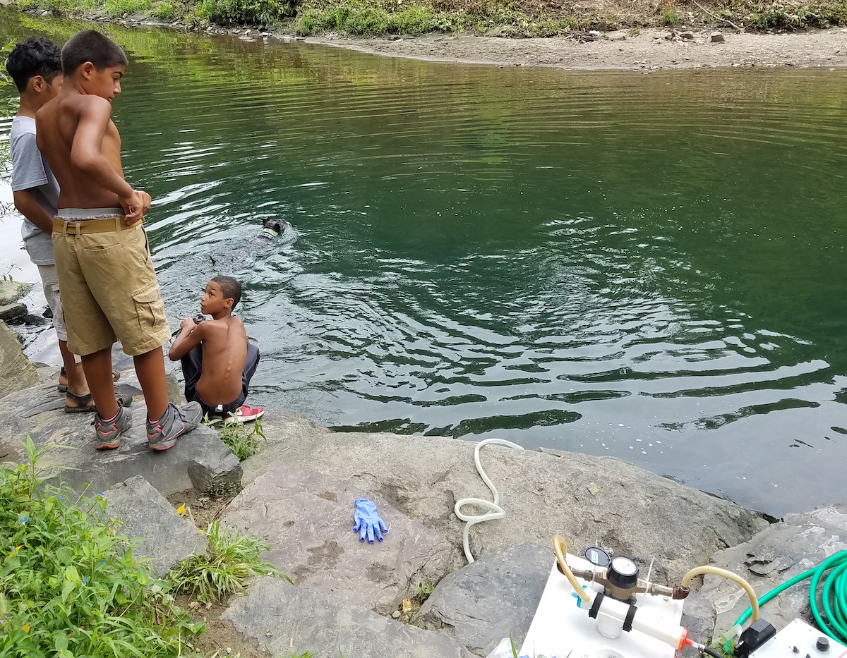 Recreational Water Quality | WHAM Lab